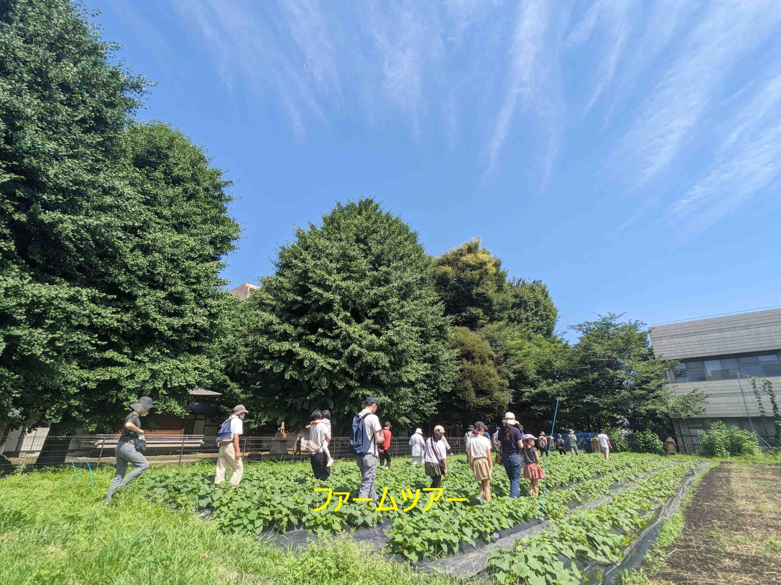 【6月15日(日)】都市農業THE HASUNE FARMツアー ┃ 板橋区立リサイクルプラザ